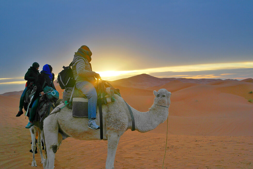 Camel Trekking in the Sahara: What to Know & How to Prepare